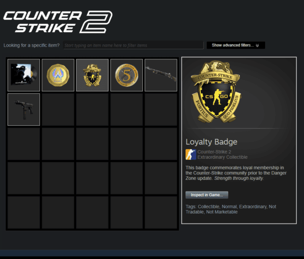 2x CS2 Full Access Prime Accounts – 3 Medals – Loyaltyshop.cc